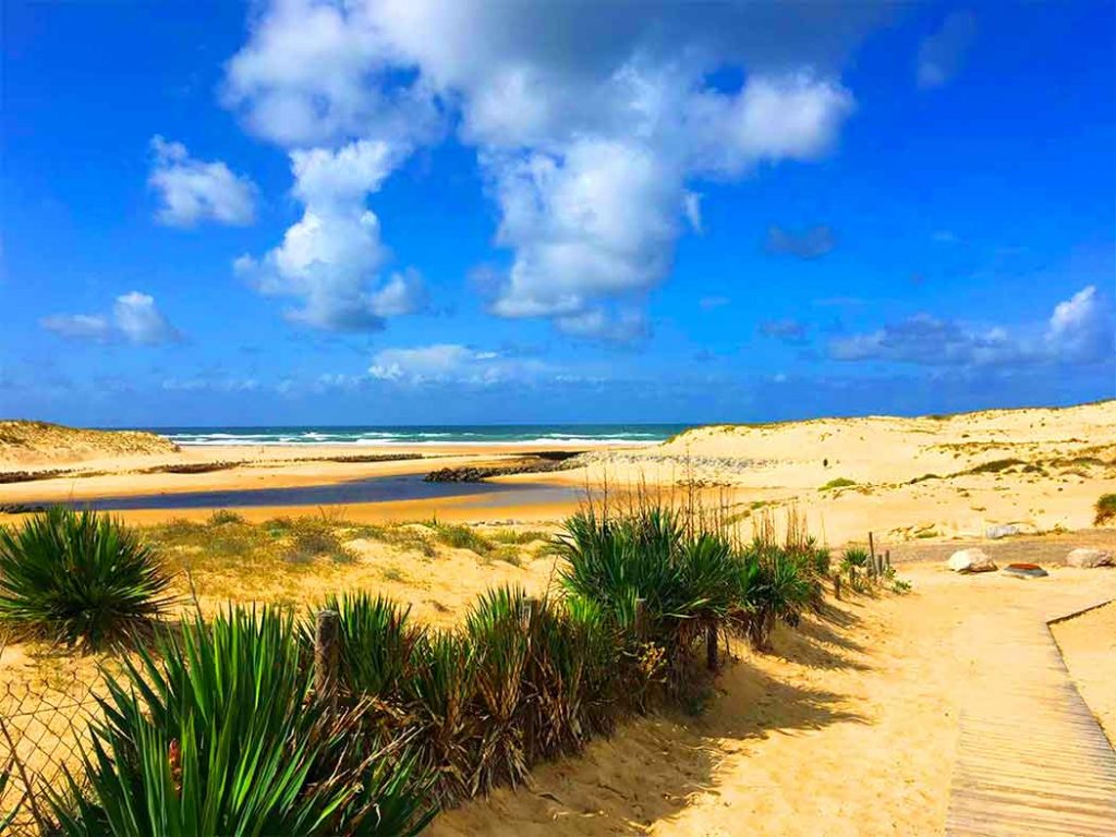Galería de imágenes de paisajes. Las Landas. Les Landes. | Las Landas