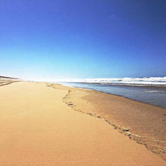 History and geography of Landes | Landes